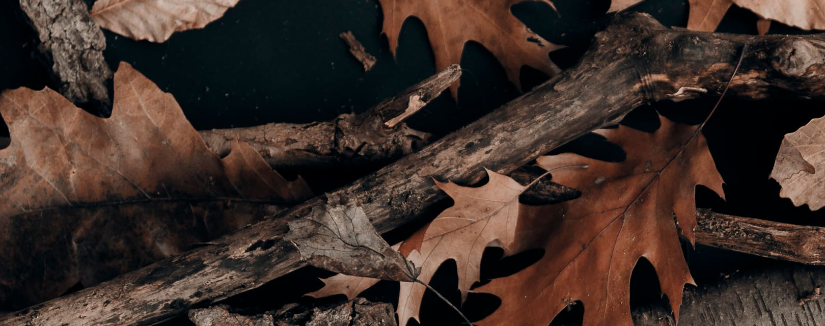 Big Header Banner Example